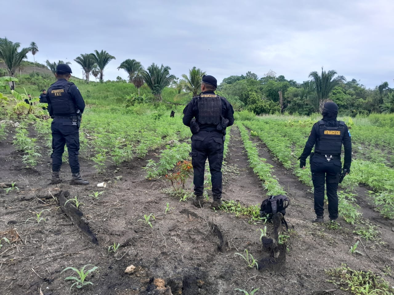 SGAIA – Policia Nacional Civil de Guatemala